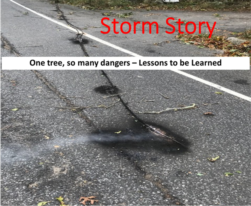 Warren’s Words of Wisdom: Storm Story | Connecticut Training ...